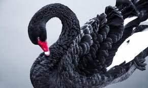 LPPL(Log-Periodic Power Law) Review paper (1) - intro : 네이버 블로그