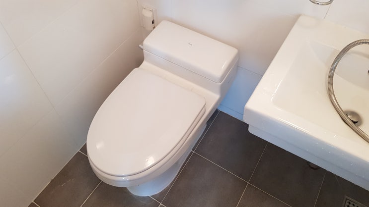 청년변기 - 서초 잠원동 현대아파트 이누스 836 원피스변기교체 시공 작업 : 네이버 블로그