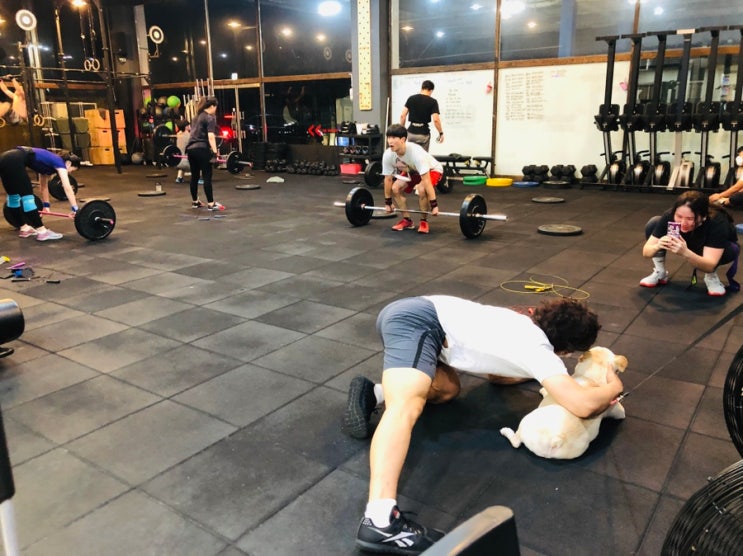 운동일기 12_영통크로스핏토르짐 : 네이버 블로그