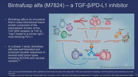 항체의 구조로서 TGF beta trap이 아니라 별도의 TGF beta 억제제를 주면 일어나는 일! 피부암 등 암 발병 ...