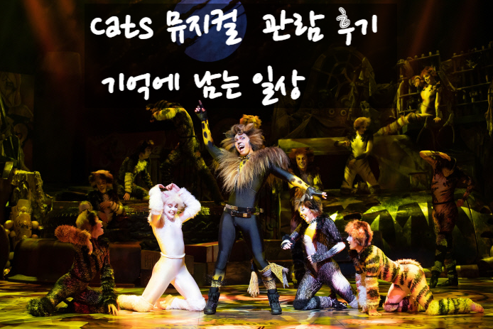 캣츠 40주년 내한공연 뮤지컬후기 -Cats Musical Memory기억 남는 날 : 네이버 블로그