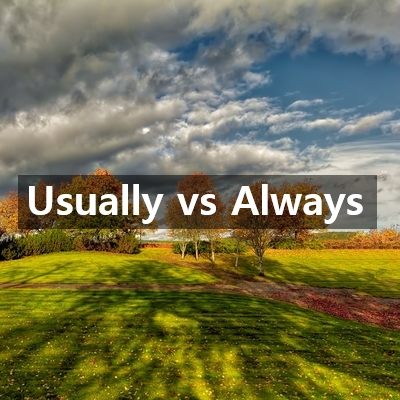 600. 헷갈리는 영어 표현 - Usually vs Always : 네이버 블로그