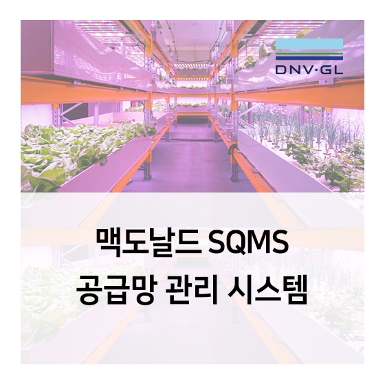 맥도날드의 식품 품질 관리 - 맥도날드 SQMS Audit(McDonald's Supplier Quality Management ...