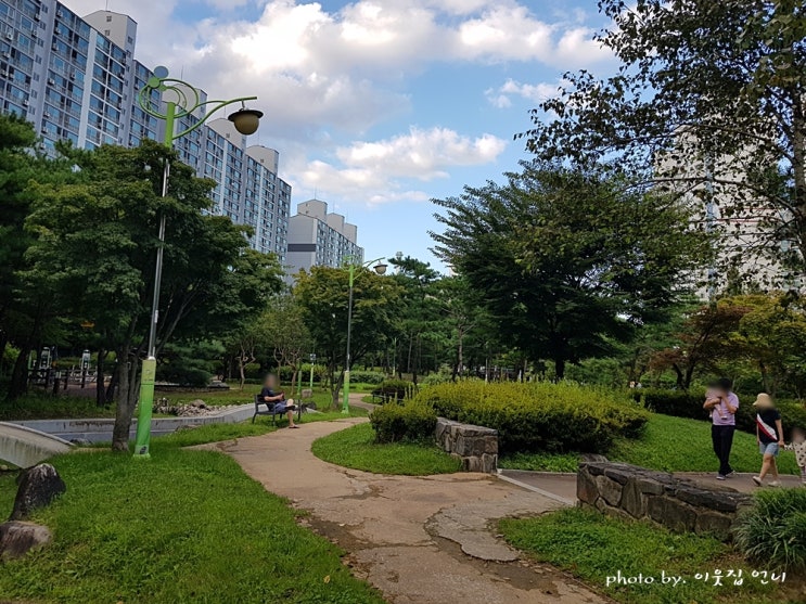 용인의 감춰진 메타세쿼이아 숲길! 상현공원 : 네이버 블로그