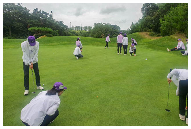 캐디크라운 교육부터 취업까지 한방에 클리어 : 네이버 블로그