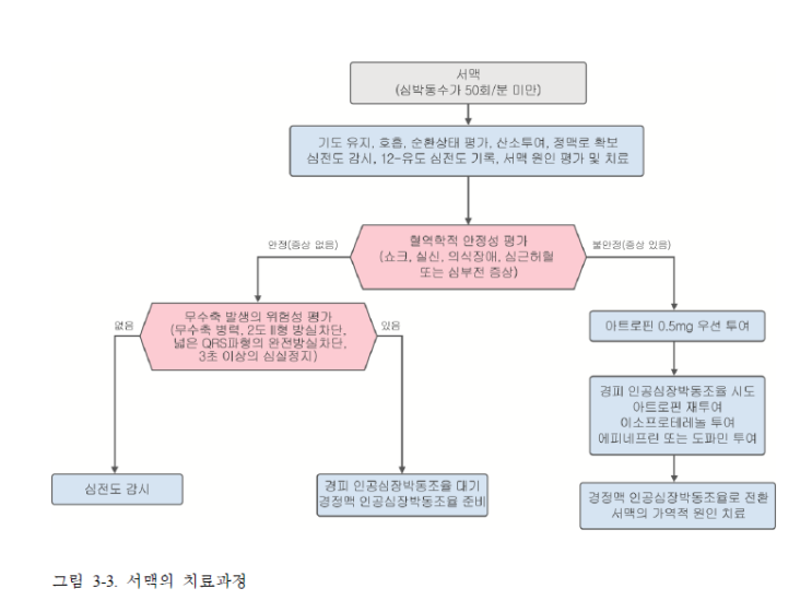 2 Cpr 가이드 라인 서맥 의료인 대한심폐소생협회 자료 네이버 블로그