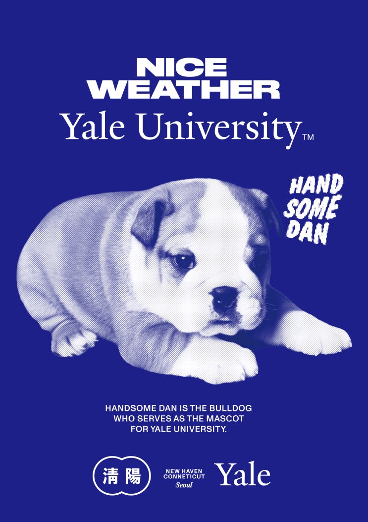 나이스 웨더(Nice Weathe)와 예일(YALE) 착한 협업 컬렉션 전개! : 네이버 블로그