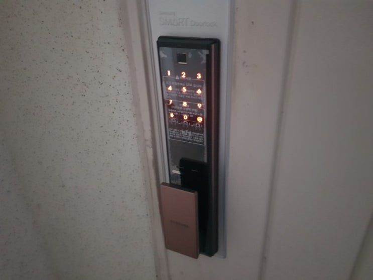 대전도어락-한빛아파트에 삼성지문번호키 SHP-DP951설치/어은동열쇠 : 네이버 블로그
