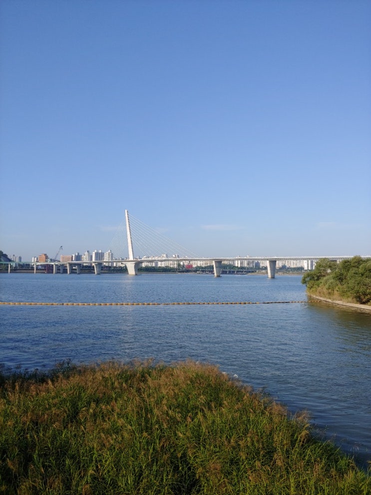 월요 아침 한강 : 네이버 블로그