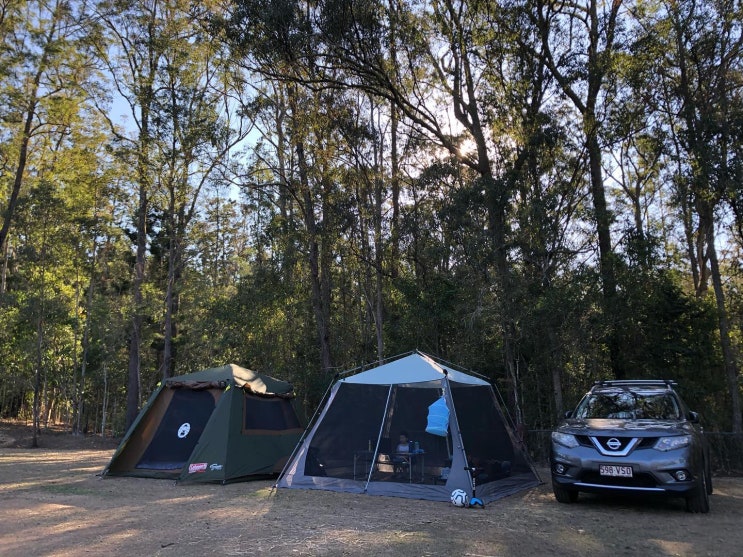 선샤인코스트여행 - Jimna Base Camp 호주캠핑 34개월 아들과 함꼐 : 네이버 블로그