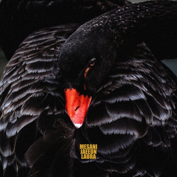 Mesani - Liquor [듣기, 노래가사, AV] : 네이버 블로그