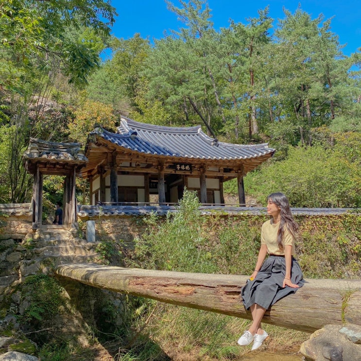 안동 가볼만한곳 안동 여행코스 안동 만휴정 월영교 낙강물길공원 비밀의숲 맘모스제과 안동 헛제사밥 까치꾸멍집