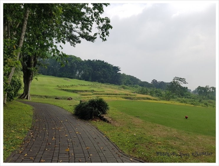 [수라바야 골프 투어 가이드] 자연속의 피나 골프장 FINNA Golf : 네이버 블로그