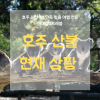 호주 여행 시드니 멜버른 여행 호주 산불 현재 상황 네이버 블로그