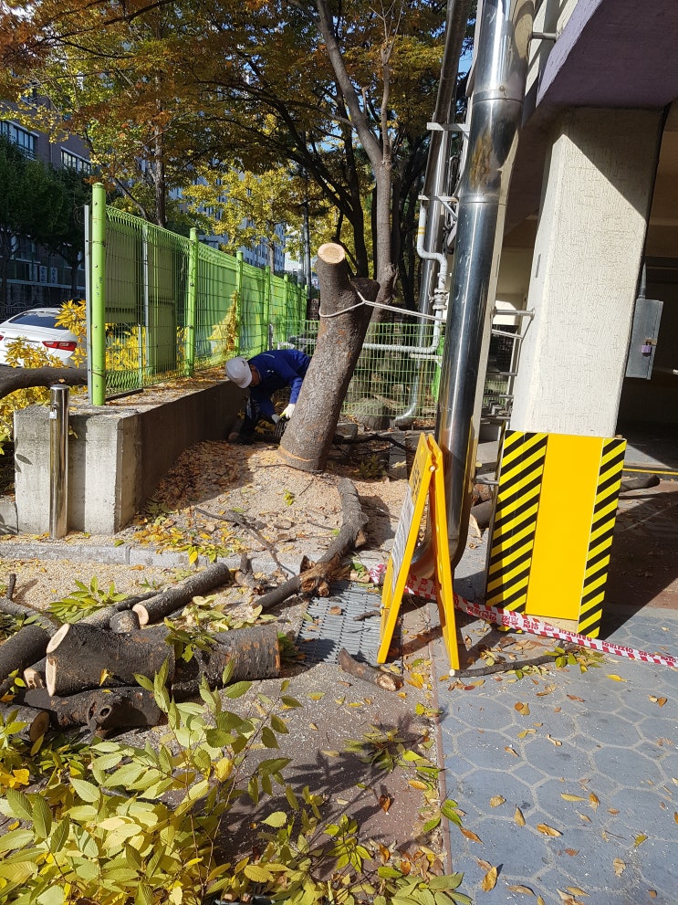 학교 누수 업체 물 수압 높아 나무 철거하고 감압변 설치 수도 공사 한 사연 : 네이버 블로그