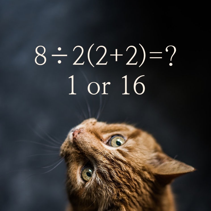 1? or 16? : 네이버 블로그