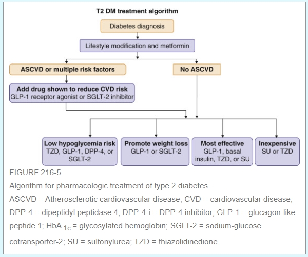 제2형 당뇨병 치료제 선택, T2DM treatment algorithm : 네이버 블로그