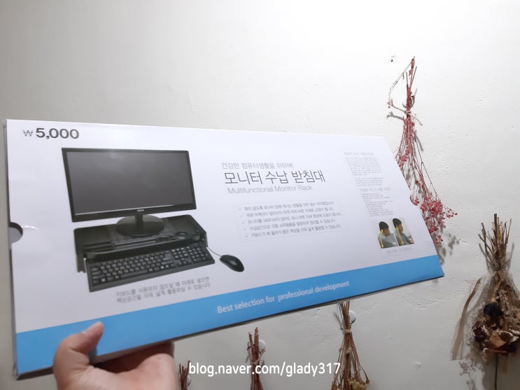 다이소 모니터 받침대 스피커 발포변기세정제 올리브영 염색약 위베어베어스마스크팩 네이버 블로그