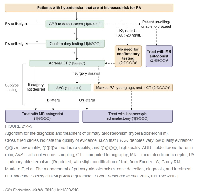 Primary hyperaldosteronism에서 selective adrenal vein sampling (AVS ...