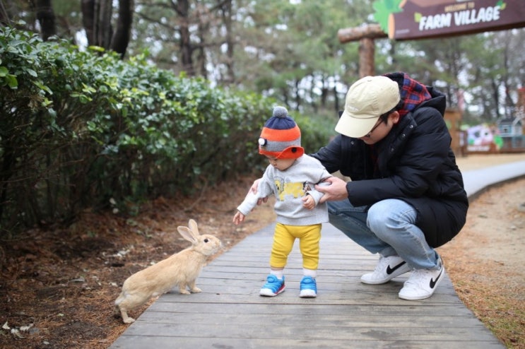 경주 아이와가볼만한곳 켄싱턴리조트경주 패밀리키즈 코코몽키즈룸 네이버 블로그