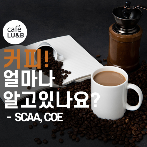 스페셜티커피 SCAA와 COE, 좋은 커피를 구별하는 방법! : 네이버 블로그