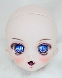 DDH-10 : 네이버 블로그