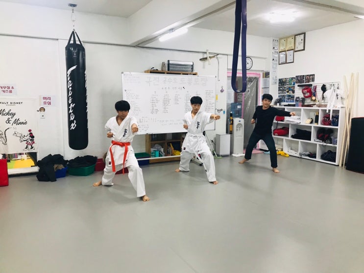 극진공수도 도봉도장 새로운 이동수련 배우기10급9급 과정 극진가라데 도봉도장 도봉 극진공수도 동대문 극진