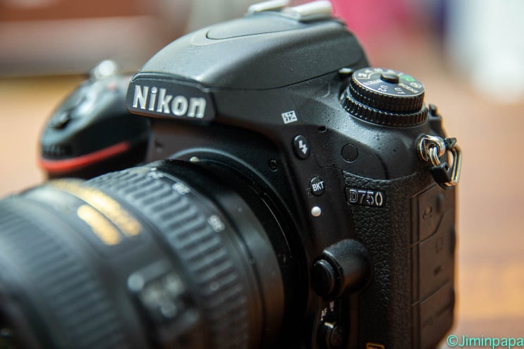 [니콘 DSLR D750 특징 및 매력] 지난 6개월 동안 담은 사진을 추억하며... : 네이버 블로그
