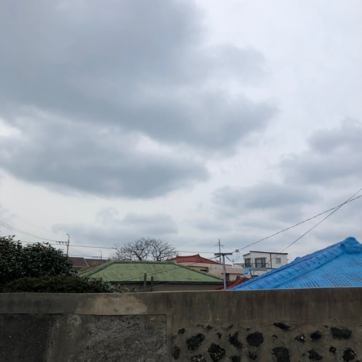 제주 일상 ; 바람부는 제주 / 조천 수산 ‘방어회’ : 네이버 블로그