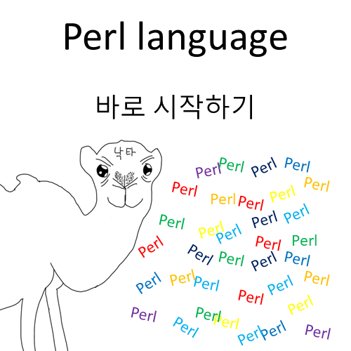 Perl 바로 시작하기 (PERL 기초) : 네이버 블로그