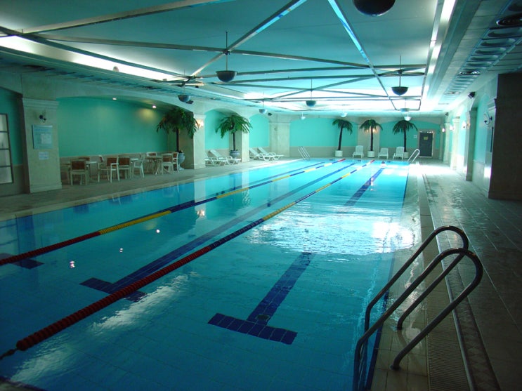 우리나라 아파트 커뮤니티시설의 시초는 타워팰리스가 아닌 도곡대림아크로빌 :) : 네이버 블로그