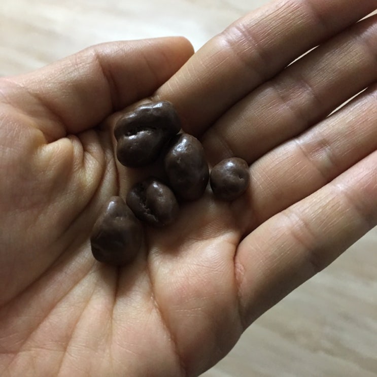 미국 과자 추천 네슬레 땅콩초코 nestle goobers : 네이버 블로그