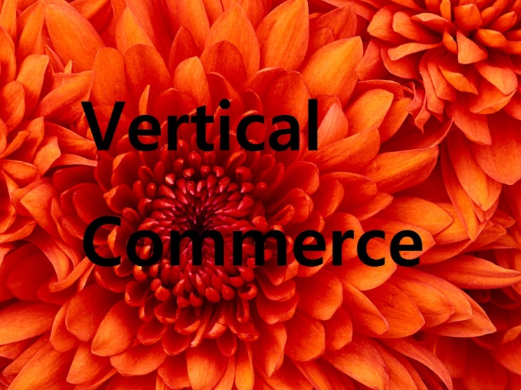 [신조어] 버티컬 커머스 Vertical Commerce : 네이버 블로그