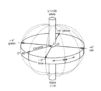 Color Scale의 종류 : 네이버 블로그