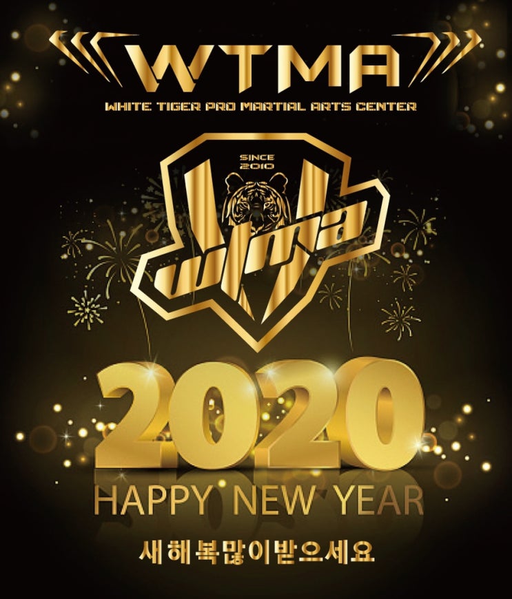 2020 파주 운정 WTMA 무에타이 킥복싱 운동 다이어트 킥복싱 키즈 킥복싱 성인 주짓수 어린이 주짓수 10주년 대박 이벤트 ...