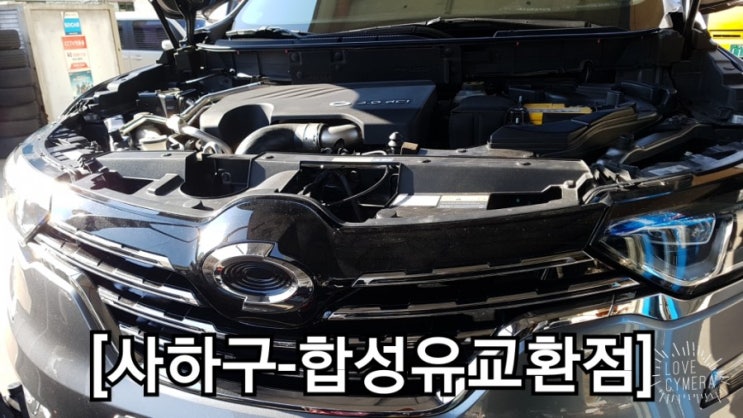 사하구합성유 엔진오일 Qm6 20dci 몬스터 블러드 합성엔진오일 Set 잔유제거정비 작업기 네이버 블로그