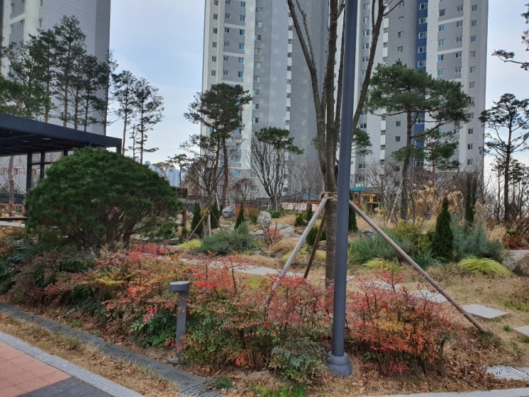 광주 광산구 쌍암동 힐스테이트리버파크 쌍암 전세 네이버 블로그