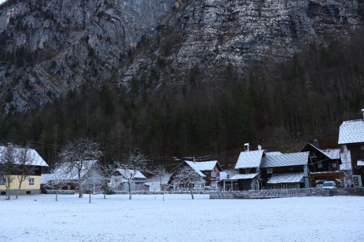 오스트리아 할슈타트 (Hallstatt).......할슈타트 즐기기 : 네이버 블로그