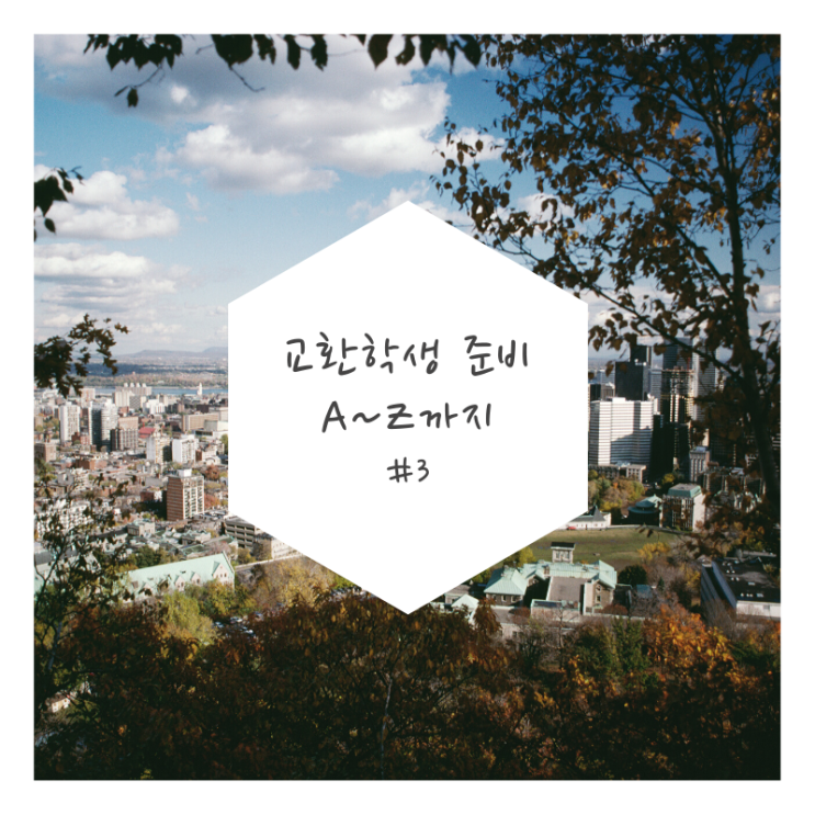 폴란드 교환학생 교환학생 준비 A~z까지 3 기타 준비 From 국제학생증 To 보험 네이버 블로그