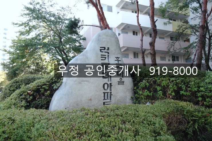 문화초 신일중 발산중후곡 마을 아파트 일산역 주변 후곡마을 부동산일산역 주변 후곡 마을 아파트 15단지 건영