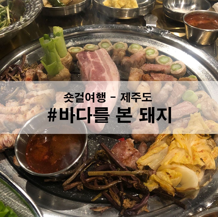 제주도 여행 서귀포 바다를 바라보면 먹는 흑돼지고기 바다를 본 돼지 네이버 블로그