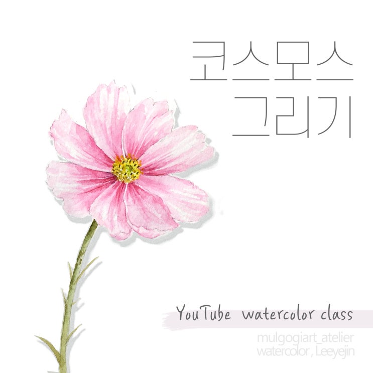 수채화 꽃 그림 강좌 코스모스 그리기스케치 및 채색 그리고 디테일 붓터치 묘사법 설명 방법만 알면 누구나 예쁜 그림을
