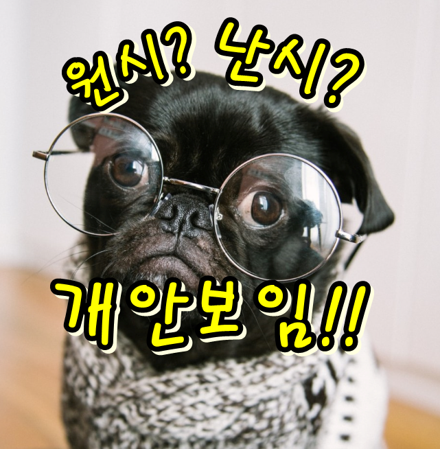 약시 시력교정 방법 근시 원시 난시 차이와 뜻 네이버 블로그