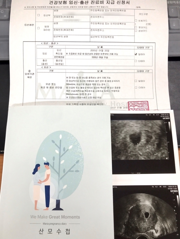 시험관2차냉동1 임신 5주 아기집 확인 수지마리아 임신확인서 산모수첩 네이버 블로그