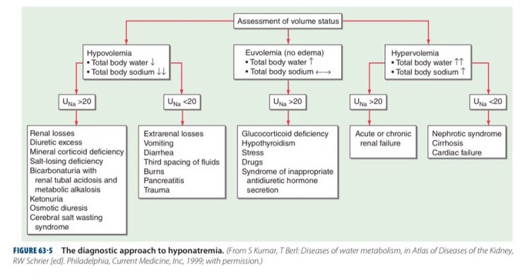 Hyponatremia & Hypernatremia : 네이버 블로그