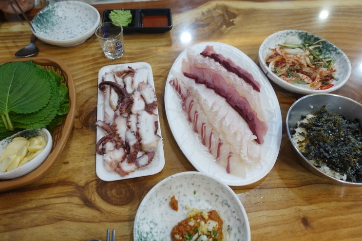 제주도여행 서귀포매일올레시장 우정회센타 참돔 우럭 광어 네이버 블로그