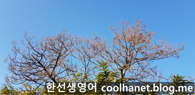 보성고 창덕여고 보인고 내신문제유형과 송파 방이동 잠실 강동 중고등부영어학원의 경찰대 영어 어휘정리 네이버 블로그