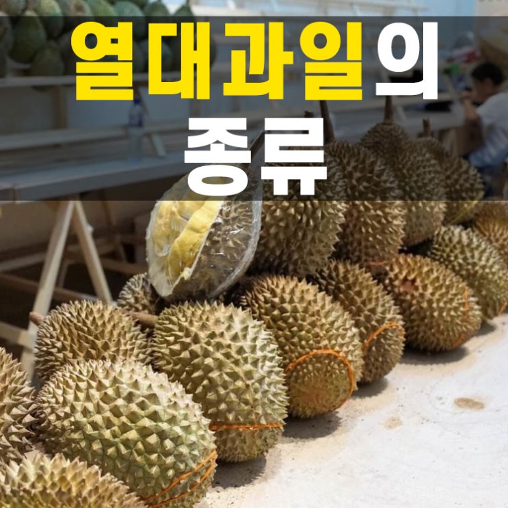 열대과일종류 필리핀의 열대과일을 소개합니다 두리안 포멜로 등등 네이버 블로그