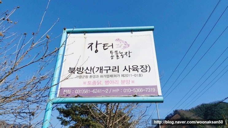맛있는 양식북방산 개구리 예약주문 판매합니다 네이버 블로그
