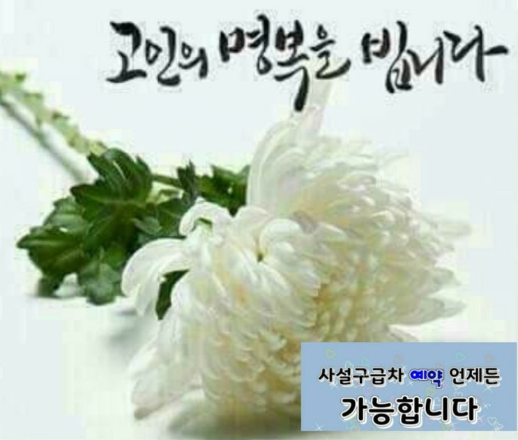 1년 전 오늘 1년 전 오늘 장례식장 환자 이송 고인이 송ㆍ시신운구ㆍ고인현장수습 강추의신화 요양원에서 이대